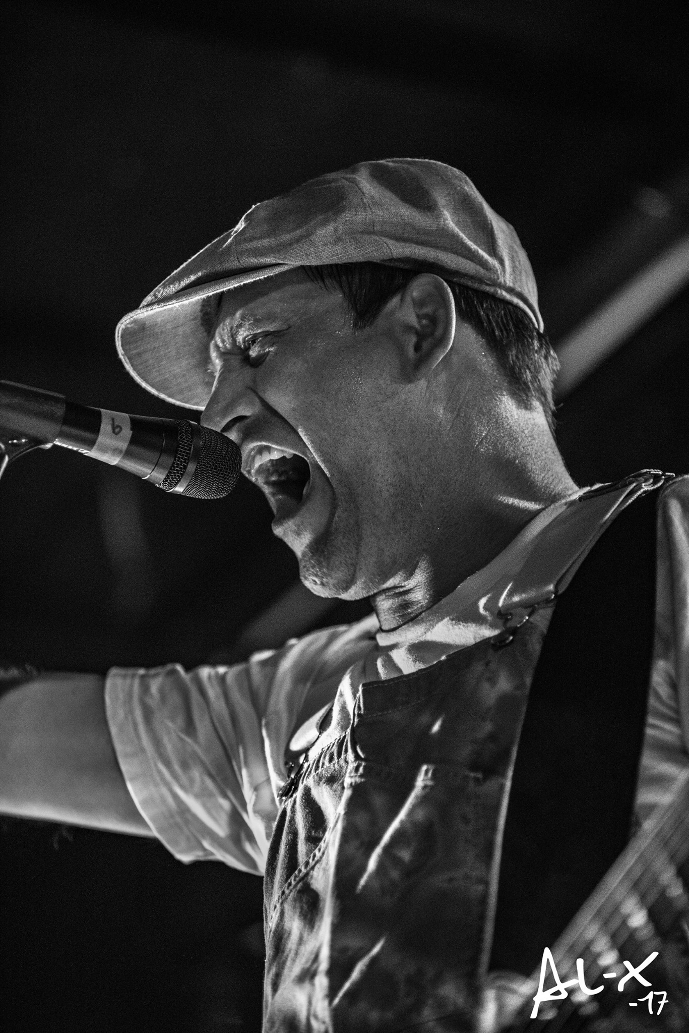 The band - Hayseed Dixie