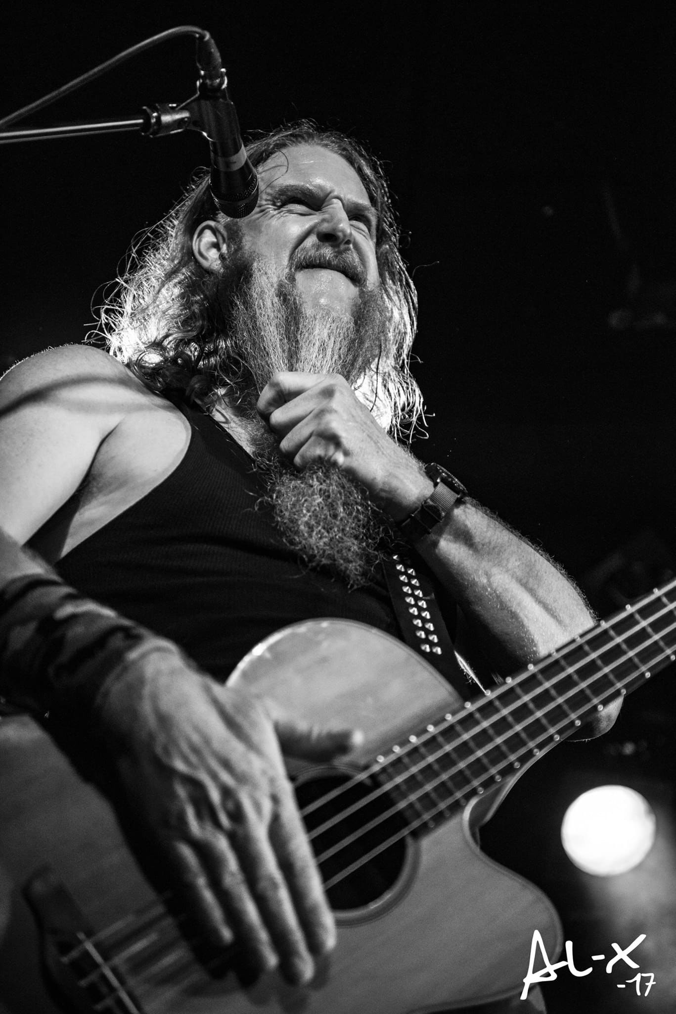 The band - Hayseed Dixie